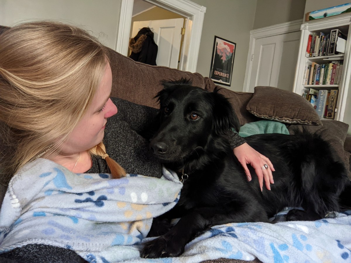 Finding Sylvie – The Curiosity Chronicles